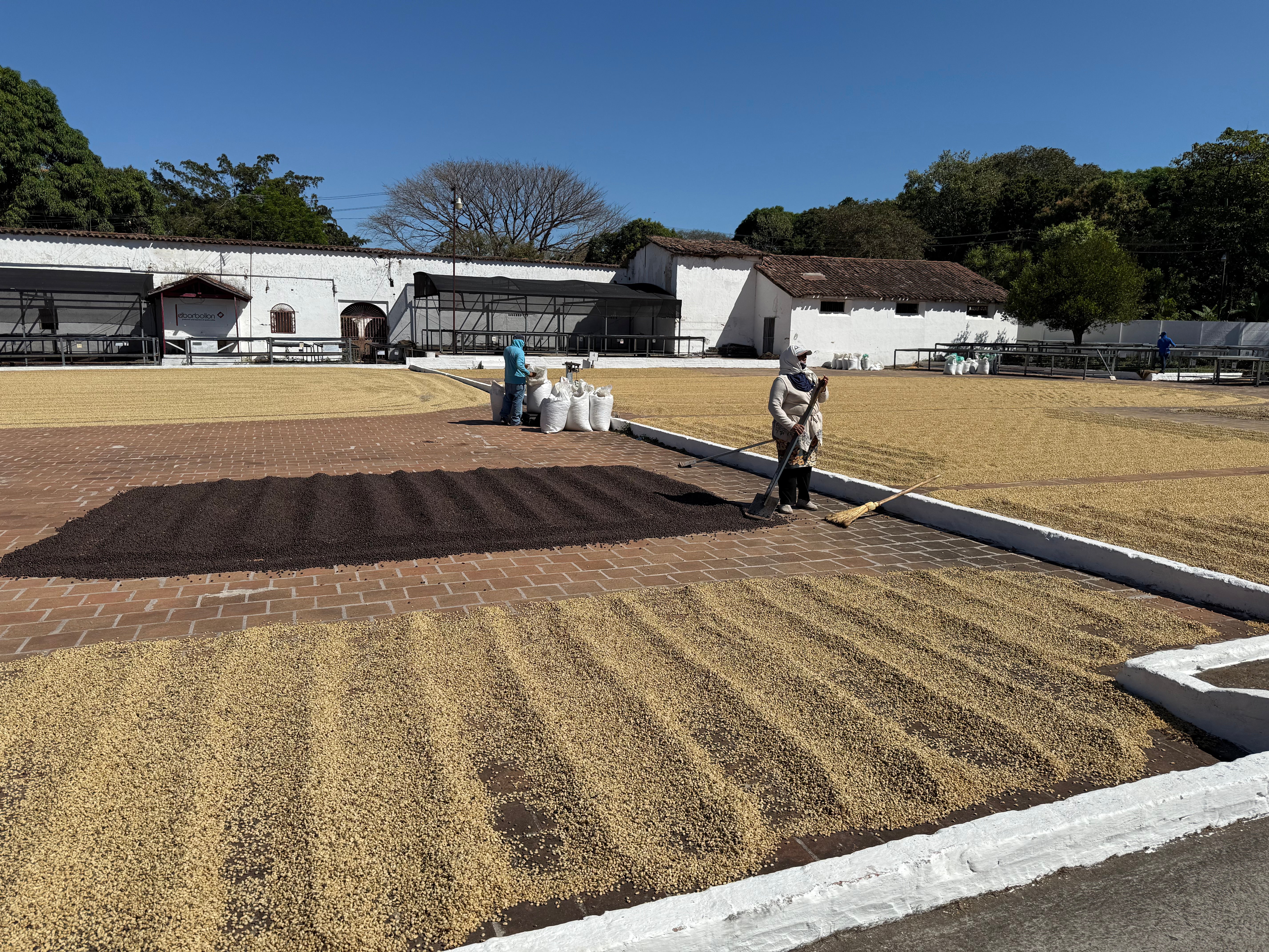 Costa Rica La Coloreteada | Triple Co Roast