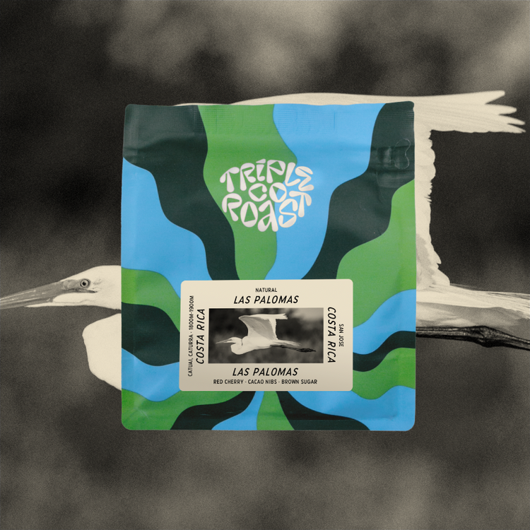 Shop Coffee | Triple Co Roast