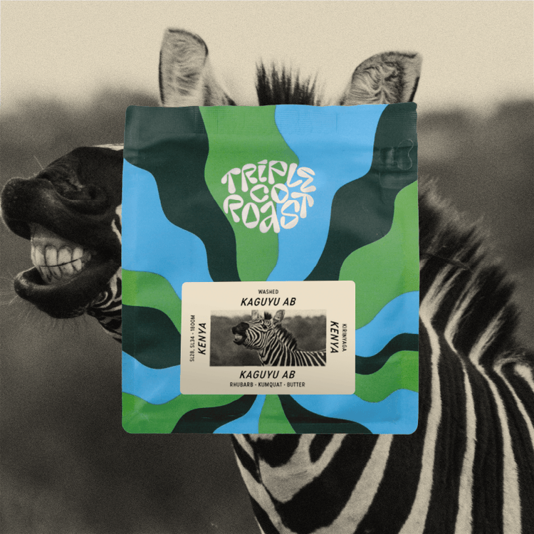 Shop Coffee | Triple Co Roast