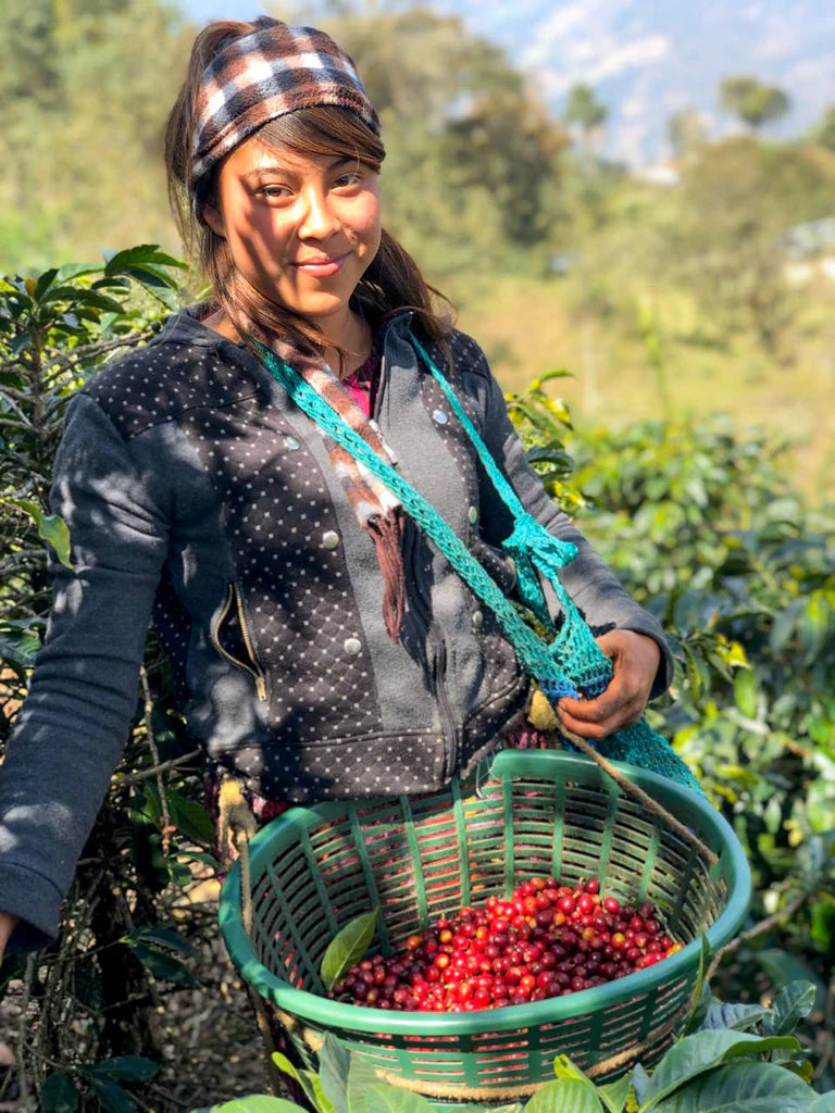 Shop Filter | Triple Co Roast